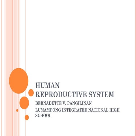 science grade 5 the human reproductive system.pptx