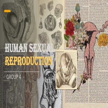 HUMAN-SEXUAL-REPRODUCTION.pptx grade 10 module 1 | PPTX