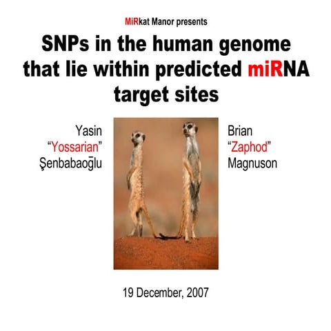 Human SNPs in microRNA Target Sites | PPT