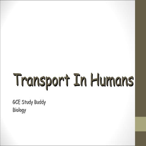 Transport in Human | PPT