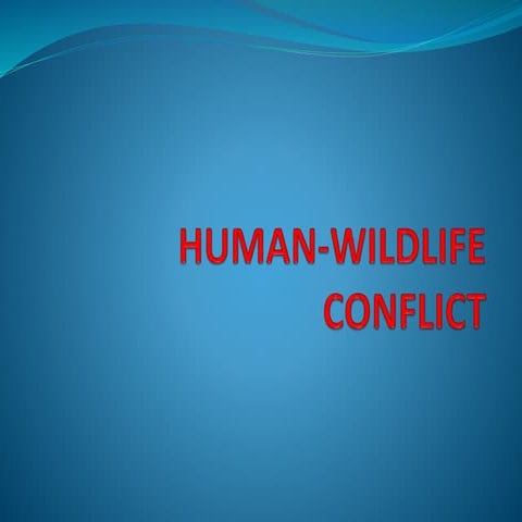 Human wildlife conflict | PPTX