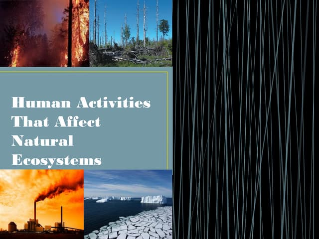 Human impact on environment | PPT
