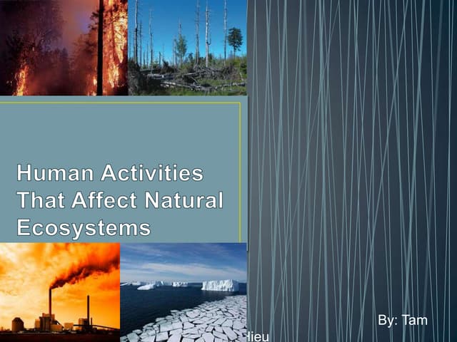 Human impact on environment | PPT