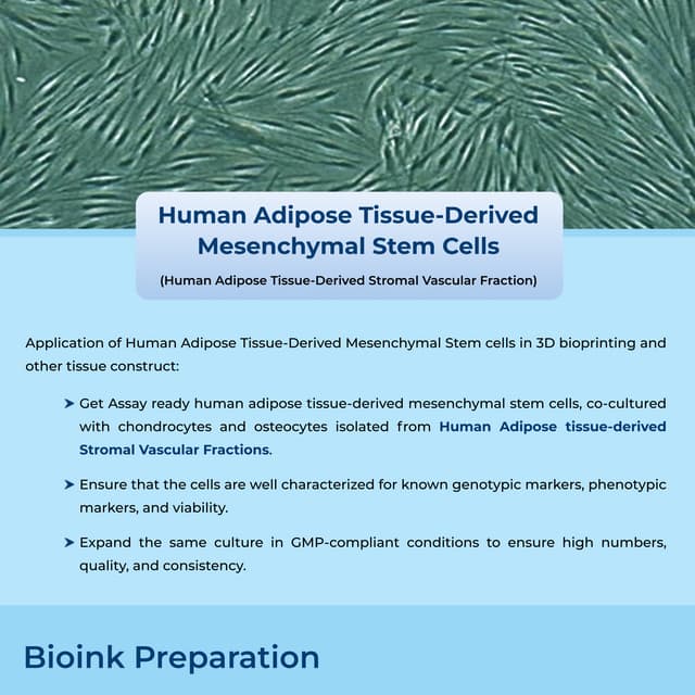Human Adipose Tissue-Derived Mesenchymal Stem cells | PDF