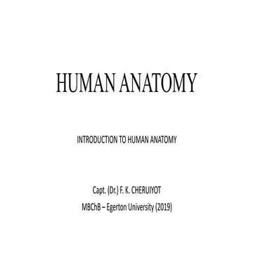 HUMAN ANATOMY.pptx