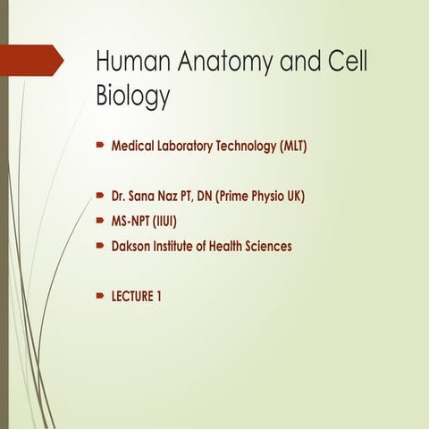 Comprehensive Biomechanics and Stretching Techniques for Joint Health ...