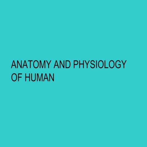 Anatomy And Physiology of Human | PPTX
