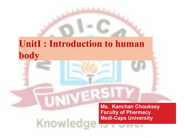 Introduction to HUMAN ANATOMY AND PHYSIOLOGY | PPTX