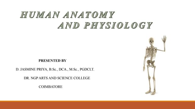 scope of human anatomy and physiology | PPTX | Lung and Respiratory ...