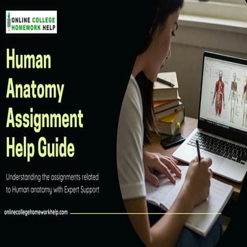 Understanding Human Anatomy: Assignment Assistance for Learners | PPT