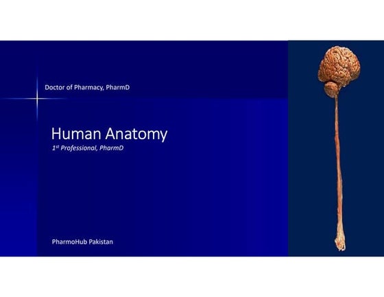 Scope of anatomy & physiology | PPT