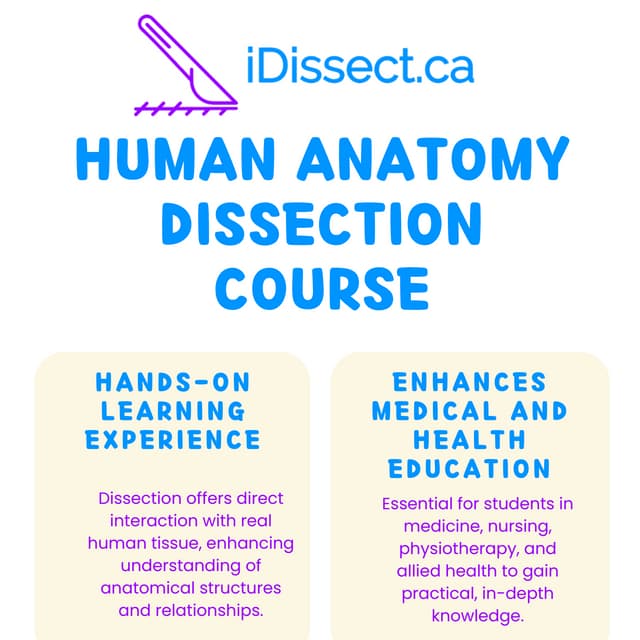 Human Anatomy Dissection Course - idissect.ca