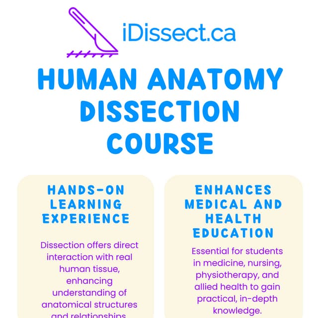 Human Anatomy Dissection Course - idissect.ca
