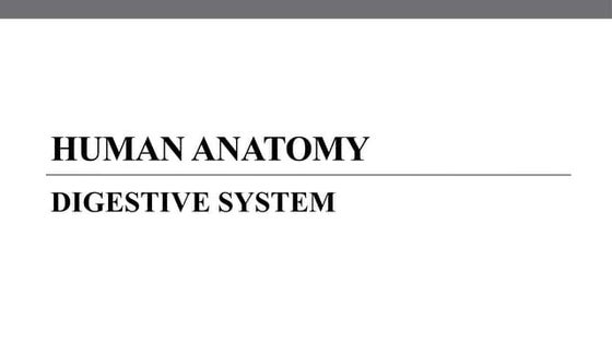 Anatomy and physiology of the gastrointestinal tract (git) | PPT