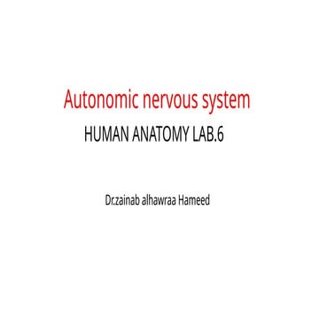 HUMAN ANATOMY Lab.autonomic nervous system | PPTX