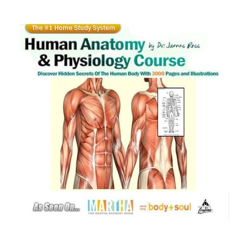 Human Anatomy & Physiology Study Course | PPTX