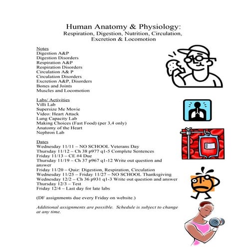 Human Anatomy Unit Plan | PDF