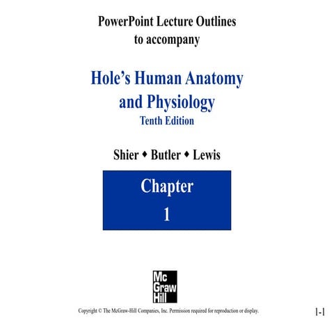 Hole's Human A & P Chapter 1 Power Points.ppt