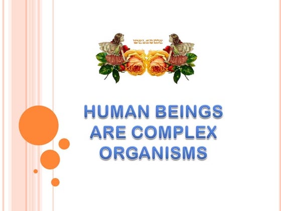 Why humans are complex organsims? | PPTX | Biological Sciences | Science