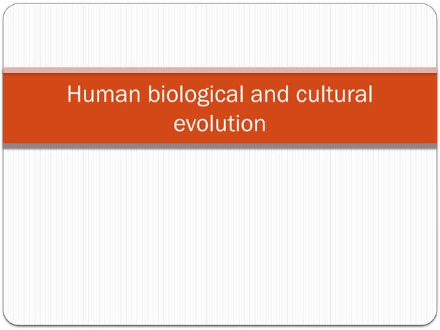 Evolution of man by Sana Bi Ansari M.Sc. I year.pptx