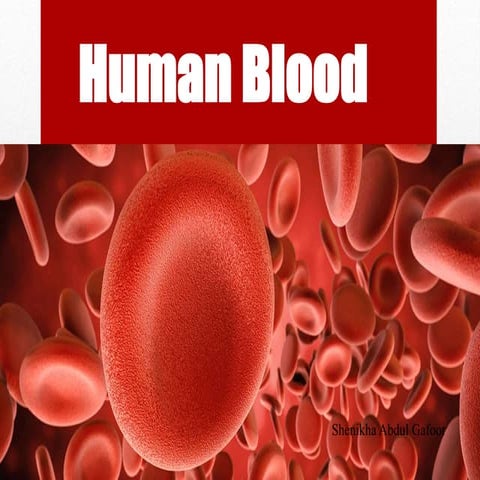 Blood-Composition.pdf