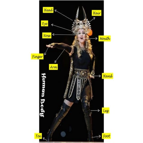 Picture dictation 1 the body | PDF