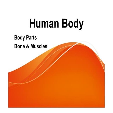 Words unit 2 body systems | PDF
