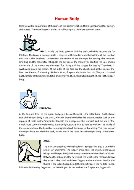 The parts of the body | PPT