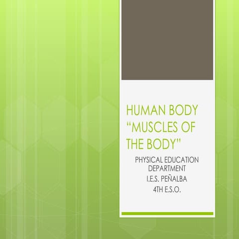 Human body 4º | PPT