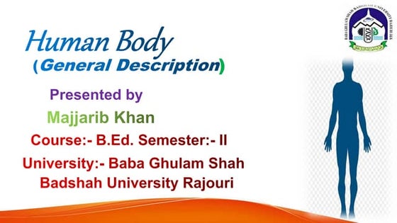 Human Body Class 2 EVS Worksheet.pdf