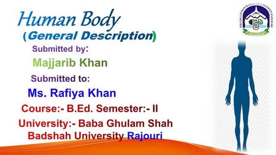 Human Body Class 2 EVS Worksheet.pdf