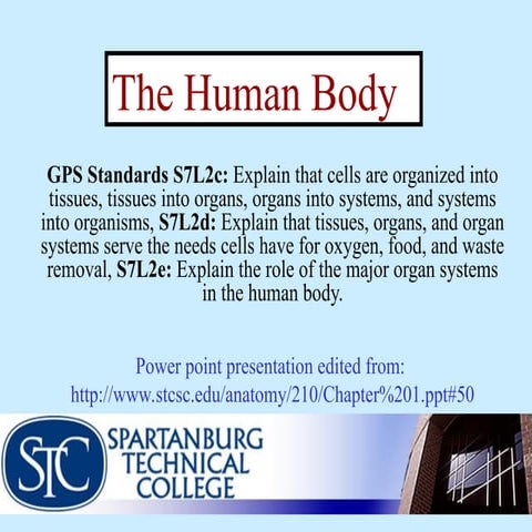 Understanding the Human Body and Its Systems | PPT