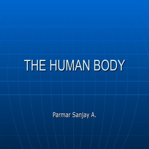Human Body 1 | PPT | Lung and Respiratory Health | Diseases and Conditions