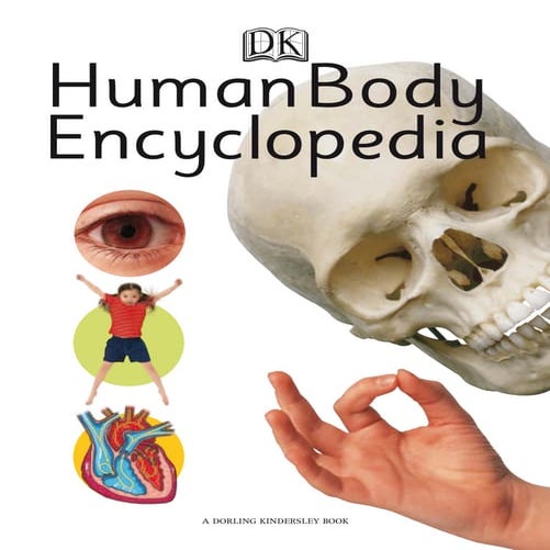 Human Body Encyclopedia Pdf