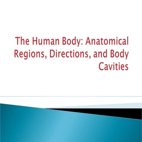 Human body intro+cavities(1) | PPT