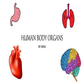 Human body organs Class 7 made by Sana | PPTX