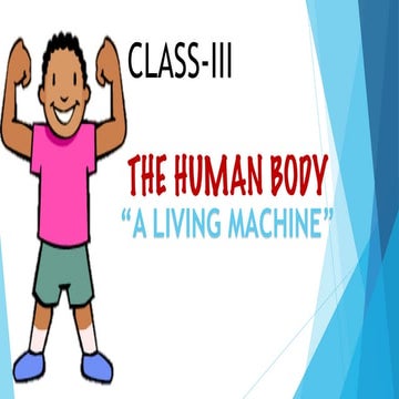 Human body part 1 | PDF | Biological Sciences | Science