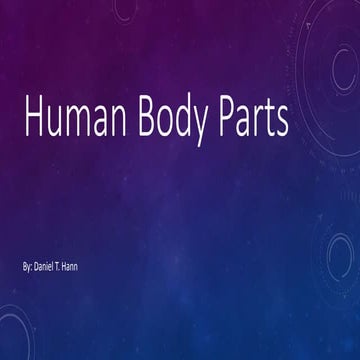 Human body parts | PPT