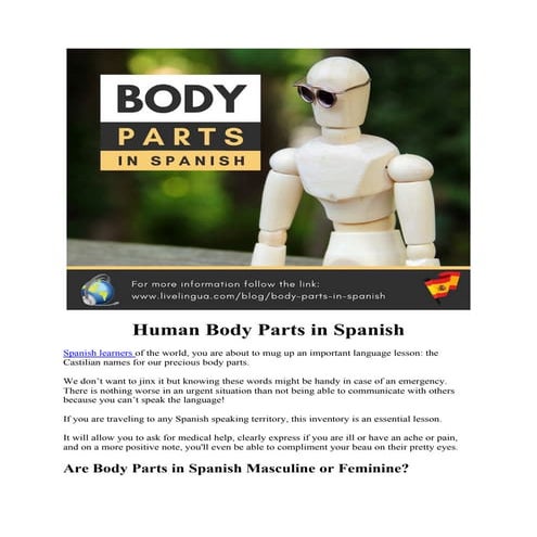 Human Body Parts in Spanish | PDF