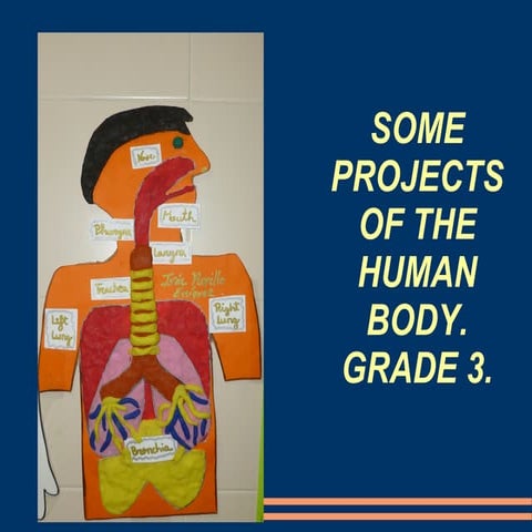 Human body projects | ODP
