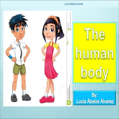 Human body project year 6 | PPT