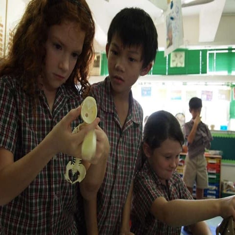 Human body slideshow | PPT