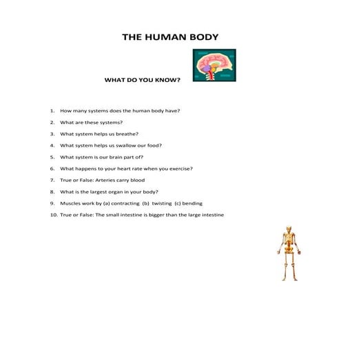 Human body ss | PDF