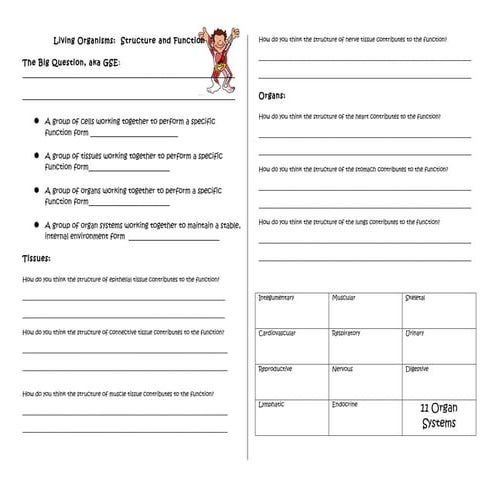 Body Structure And Function The Concise Human Body Book: An