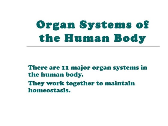Human Body Systems PPT | PPT