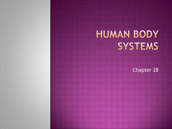 Systems of the body | PPT