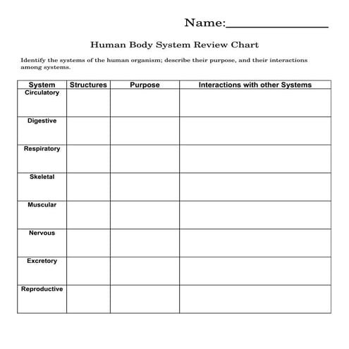 Body Systems Chart Worksheet Parts Of The Body Chart