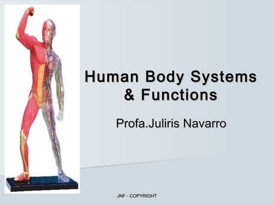 Introduction to human body systems | PPT