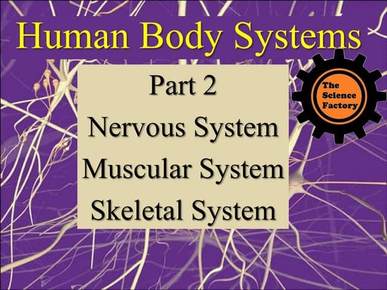 Muscoloskeletal System- Science Grade 6.pptx | Bone and Joint ...