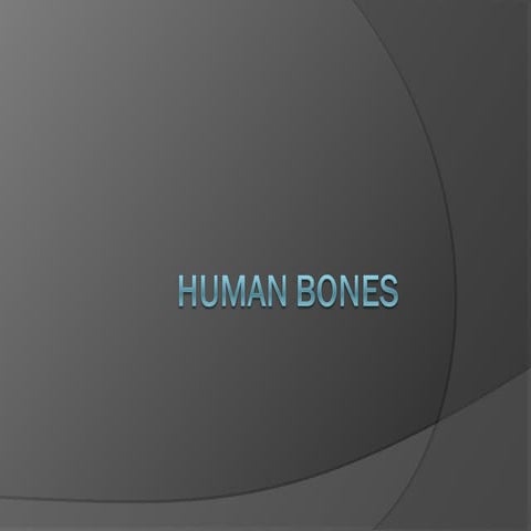 Human Bones with detail explaination.ppt